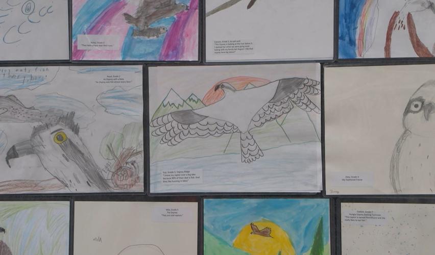 $14,000 grant issued to Cascades Raptor Center for educational ...