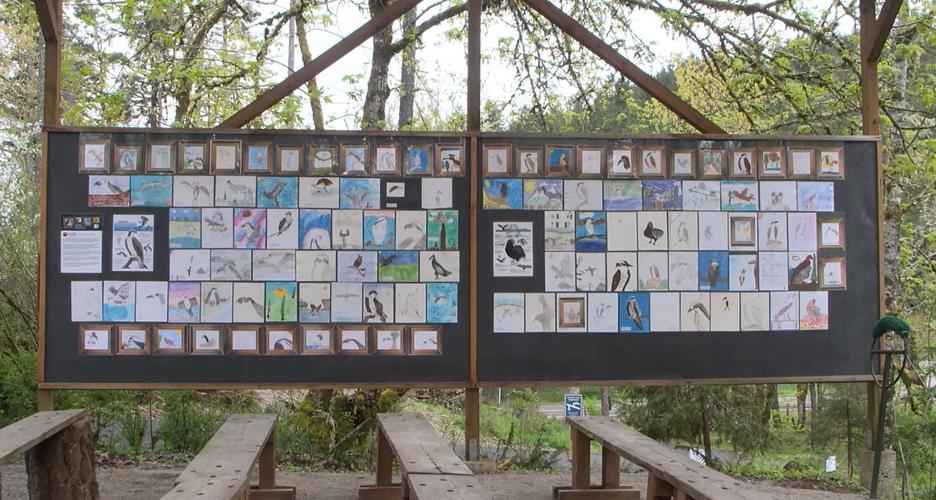 $14,000 grant issued to Cascades Raptor Center for educational ...
