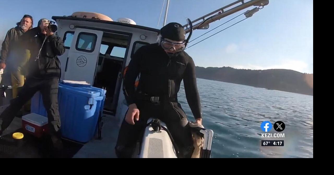 "SMURFs" help scientists study rockfish | Video | kezi.com