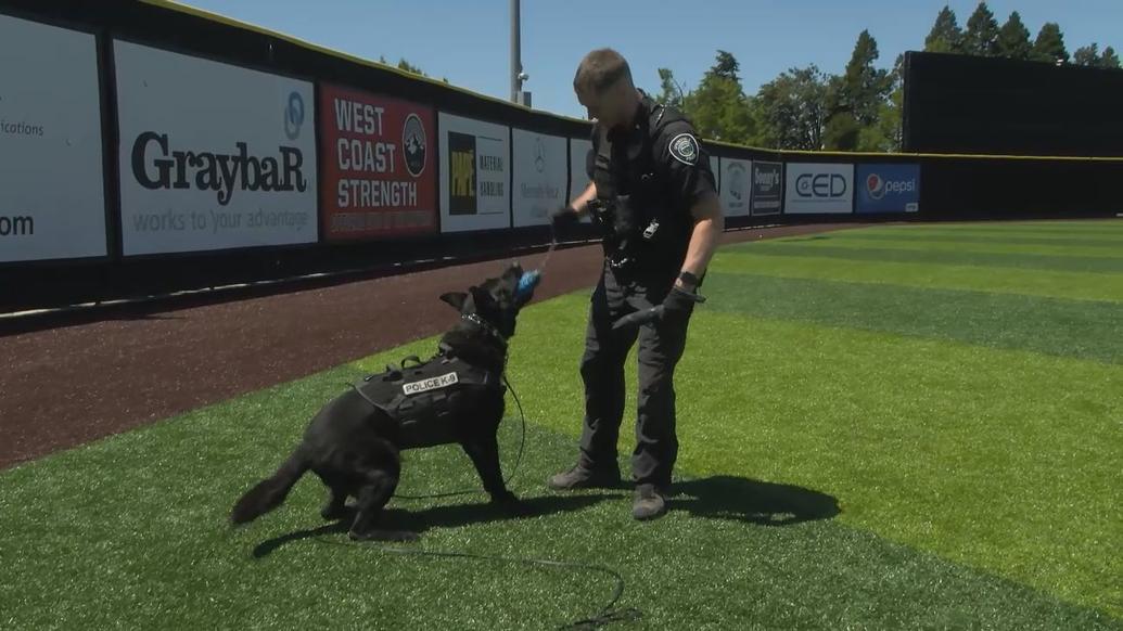 K-9 competition looks to highlight local law enforcement's K-9 teams ...