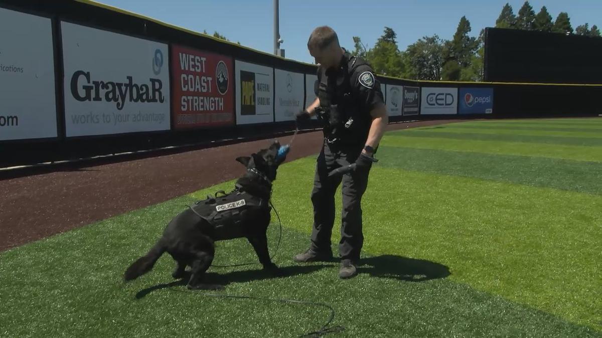 K-9 competition looks to highlight local law enforcement's K-9 teams ...