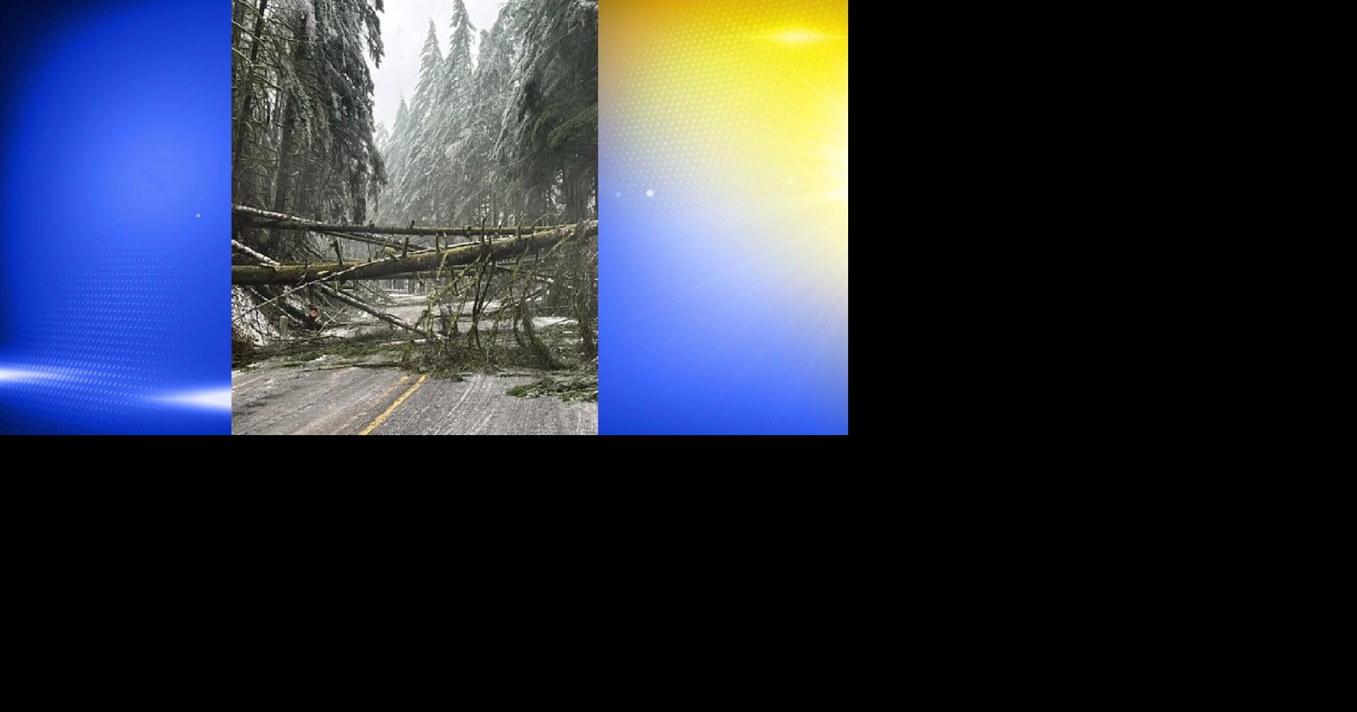 Veneta ODOT worker springs into action clearing Highway 126 West of ...