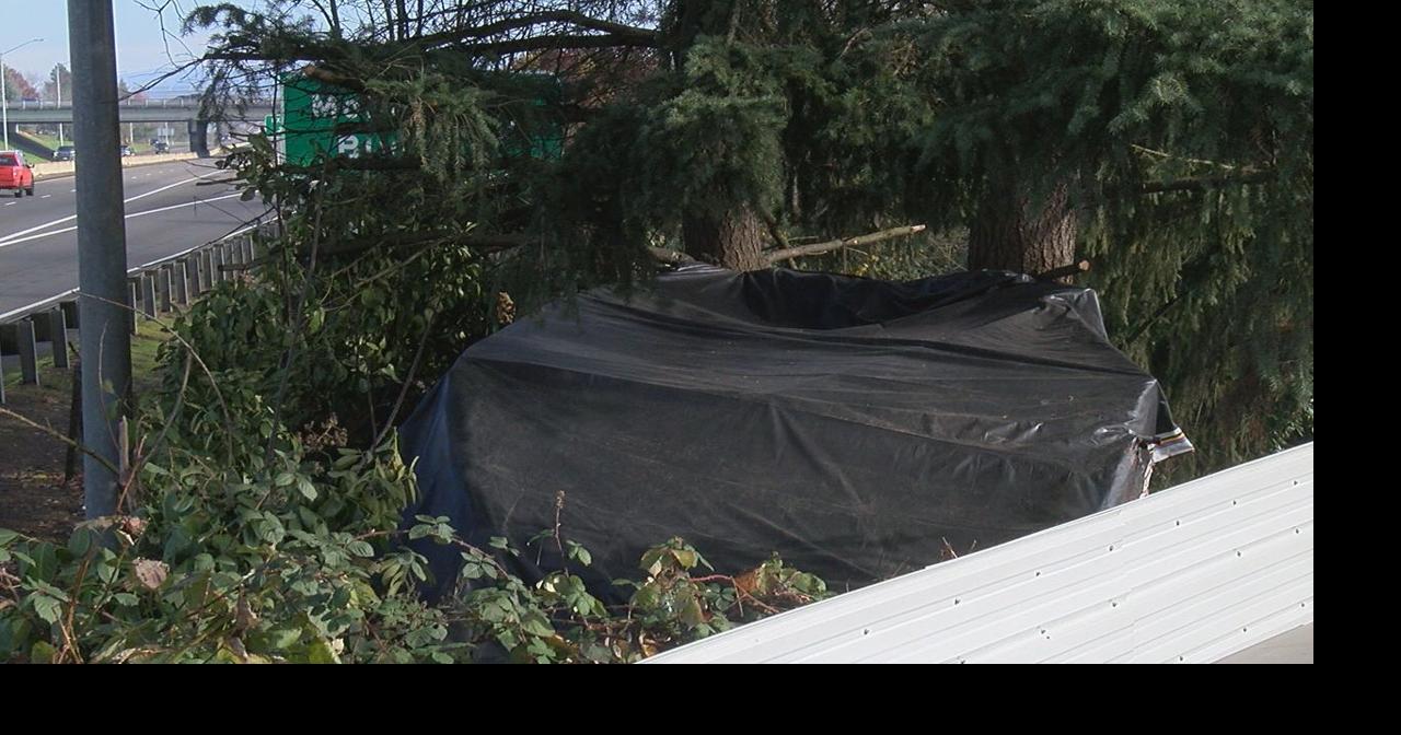 Homeless encampment in Springfield too close for comfort for neighbors ...