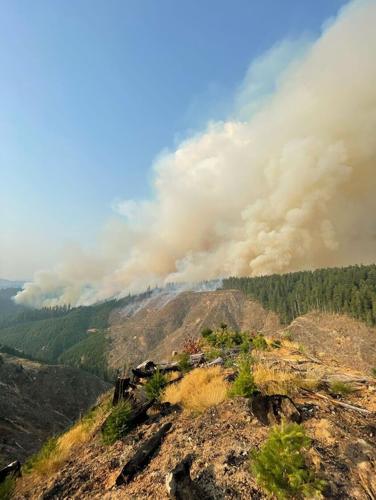 Firefighters battling numerous wildfires at Tyee Ridge Complex | News ...