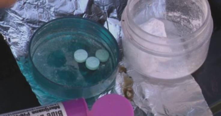 New Lane County deflection program is receiving referrals for those ...