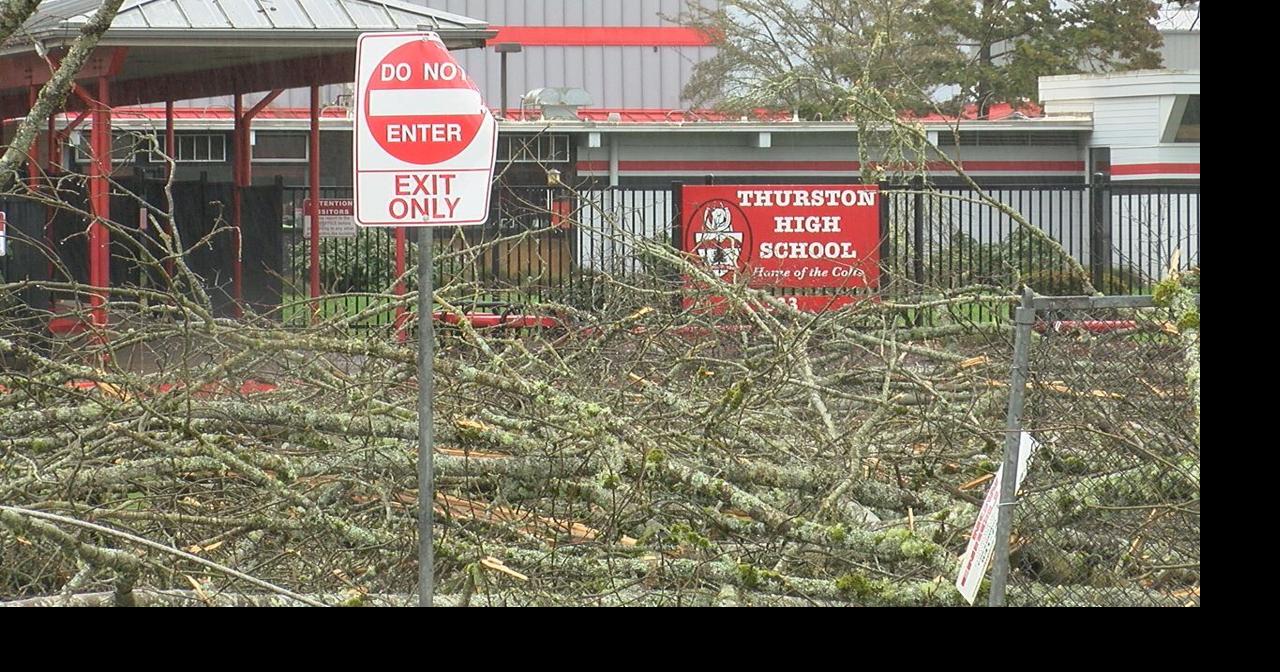 Springfield, 4J district leaders talk storm damage, moving forward and ...
