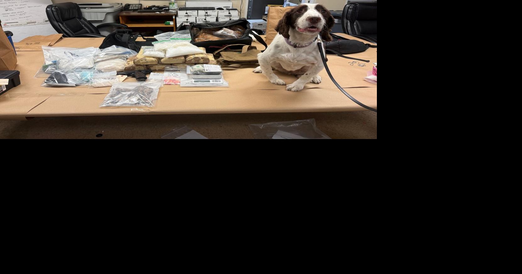 Massive drug bust in Coos, Curry counties with drugs, cash, firearms ...