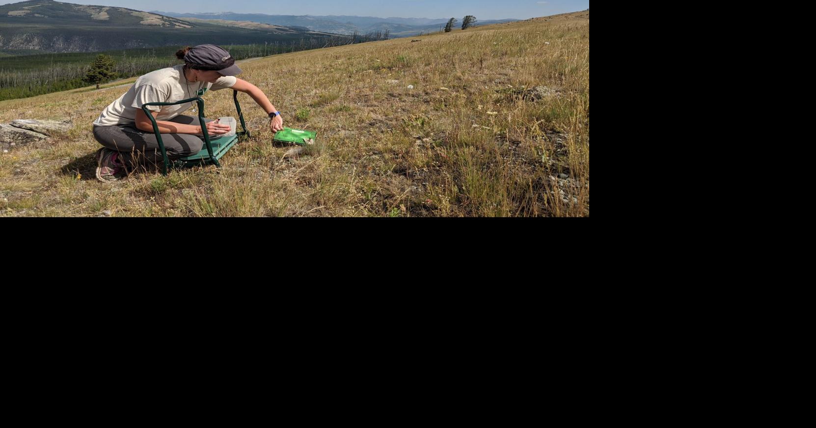 Former USGS employee speaks out about sudden layoff | News | kezi.com