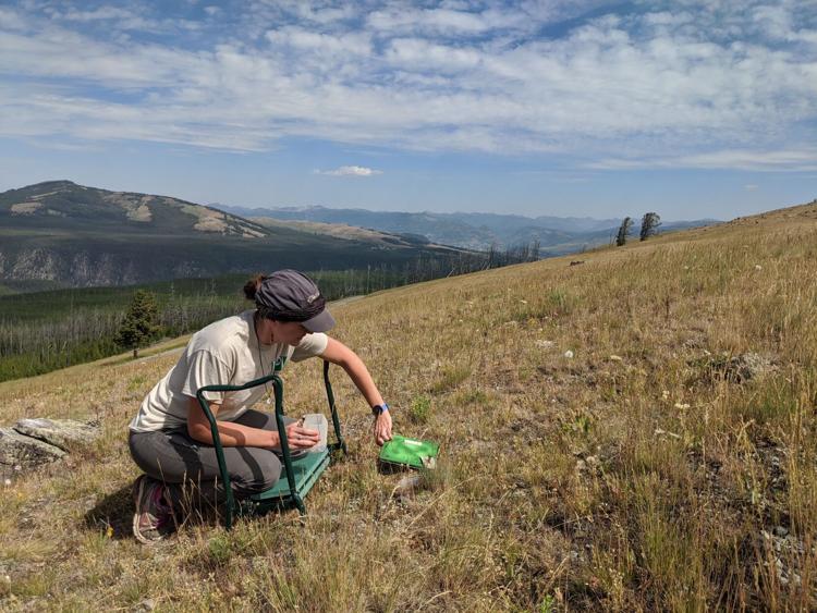 Former USGS employee speaks out about sudden layoff | News | kezi.com