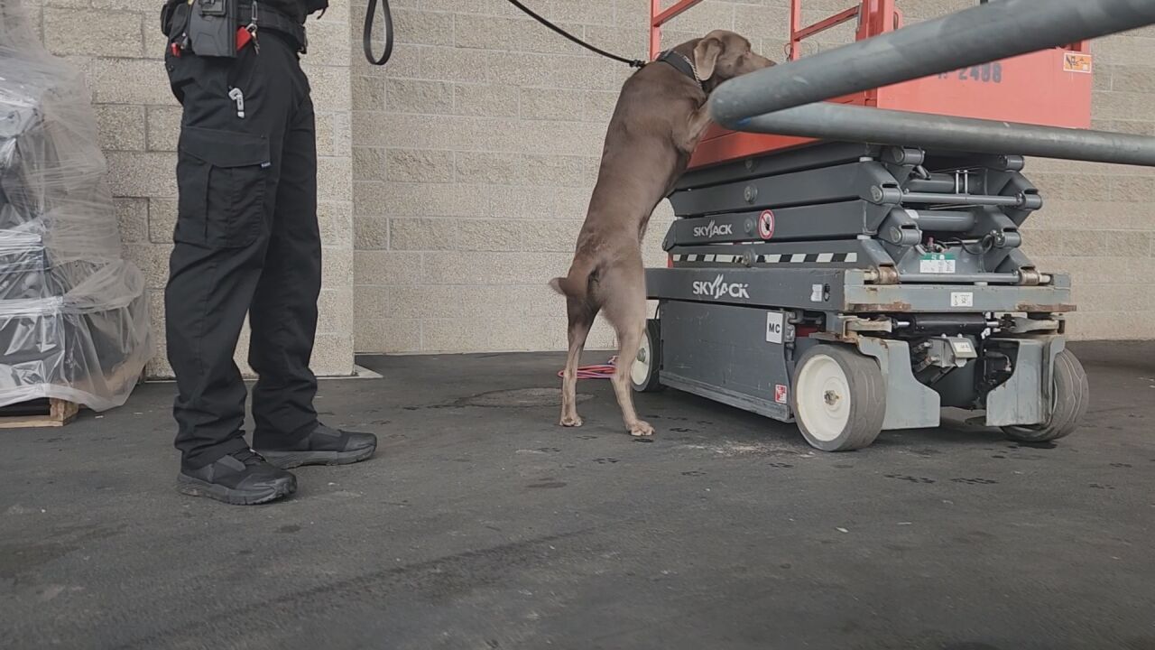 University of Oregon Police rely on Thor the bomb-detecting dog for ...