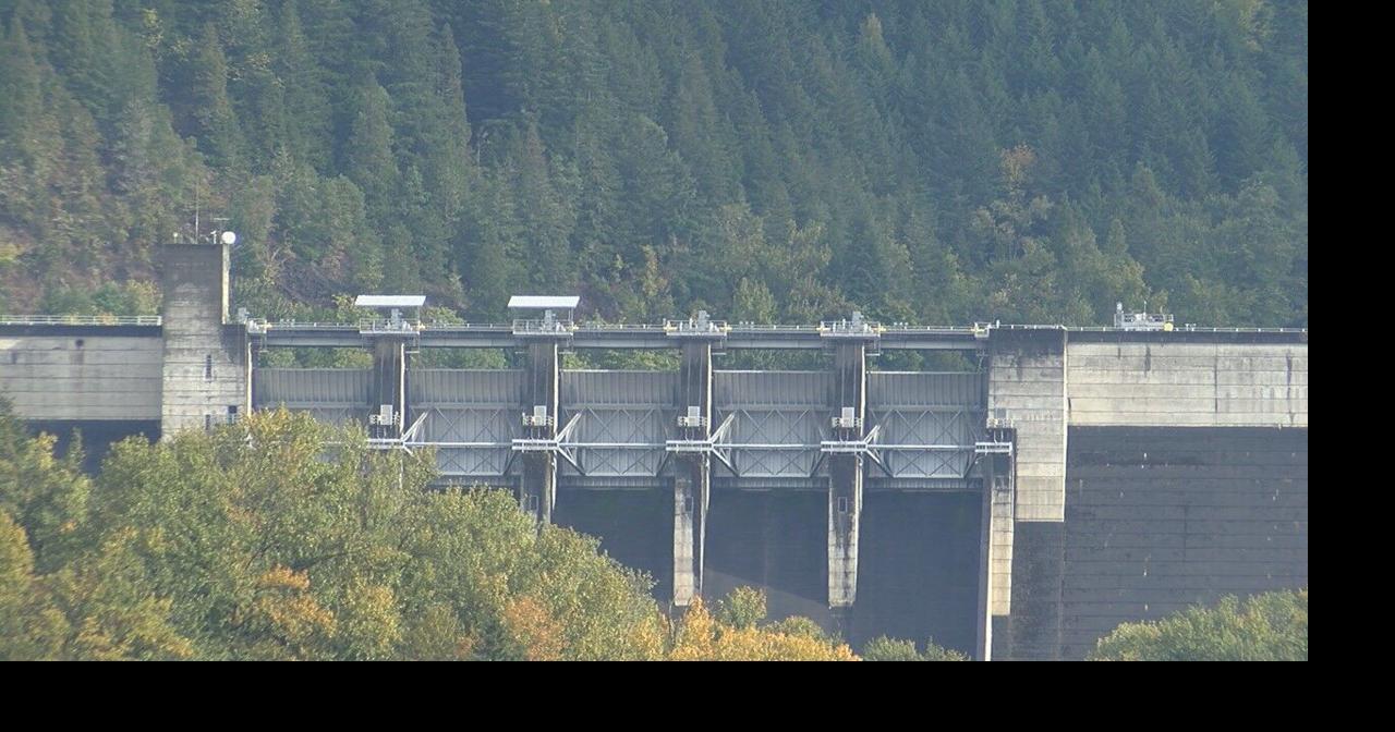 Coalition of public officials asking for modification of dam drawdown ...