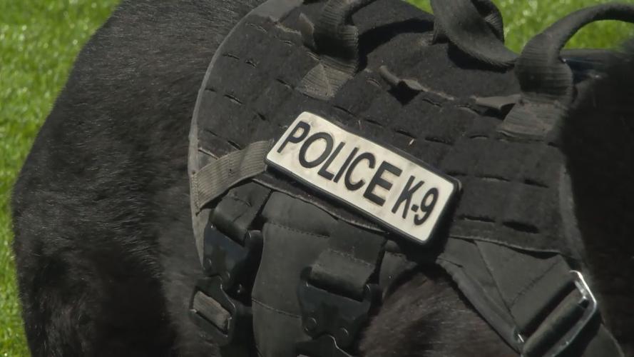 K-9 competition looks to highlight local law enforcement's K-9 teams ...