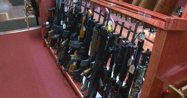 Gun measure requiring permit-to-purchase and banning high capacity ...