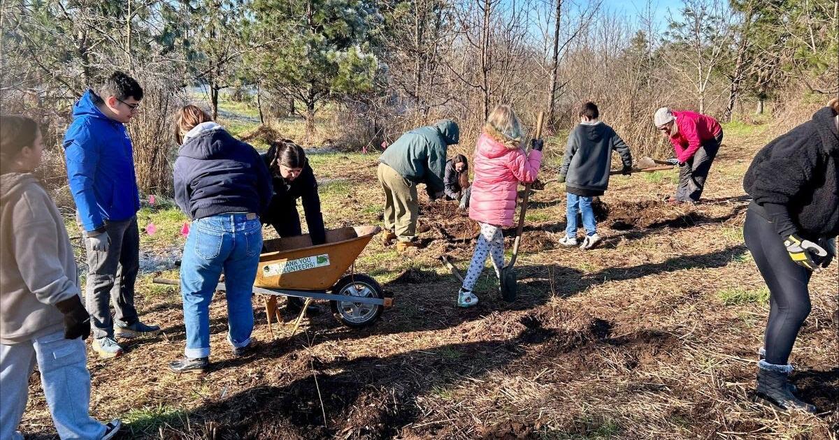 Eugene invites volunteers for MLK Day tree planting at Maurie Jacobs ...