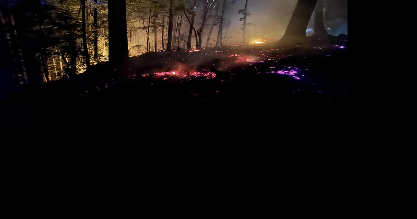 Level Two evacuation ordered for area north of Oakridge due to fire ...