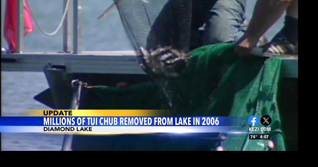 Invasive Tui Chub still in Diamond Lake despite efforts to remove them ...