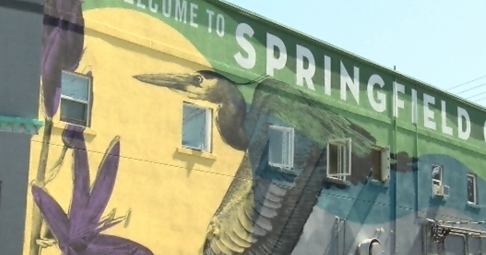 Springfield Block Party brings family fun to the heart of town | News ...