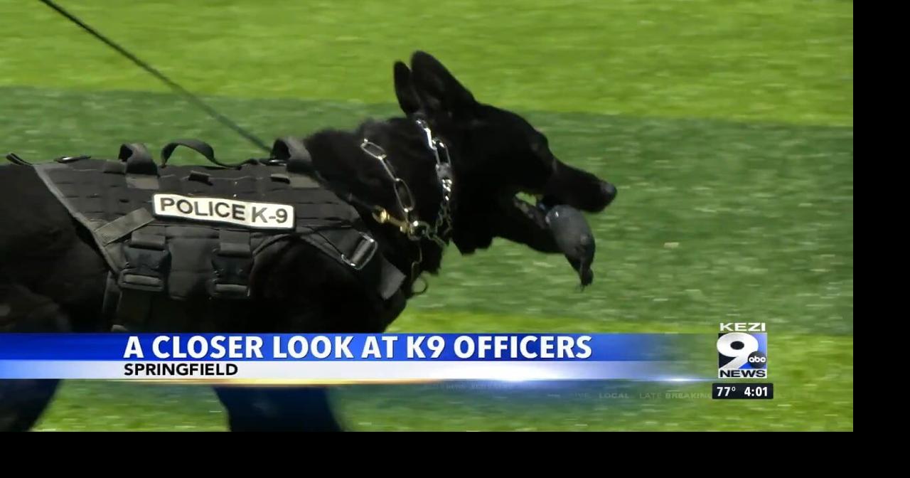 K-9 competition looks to highlight local law enforcement's K-9 teams ...