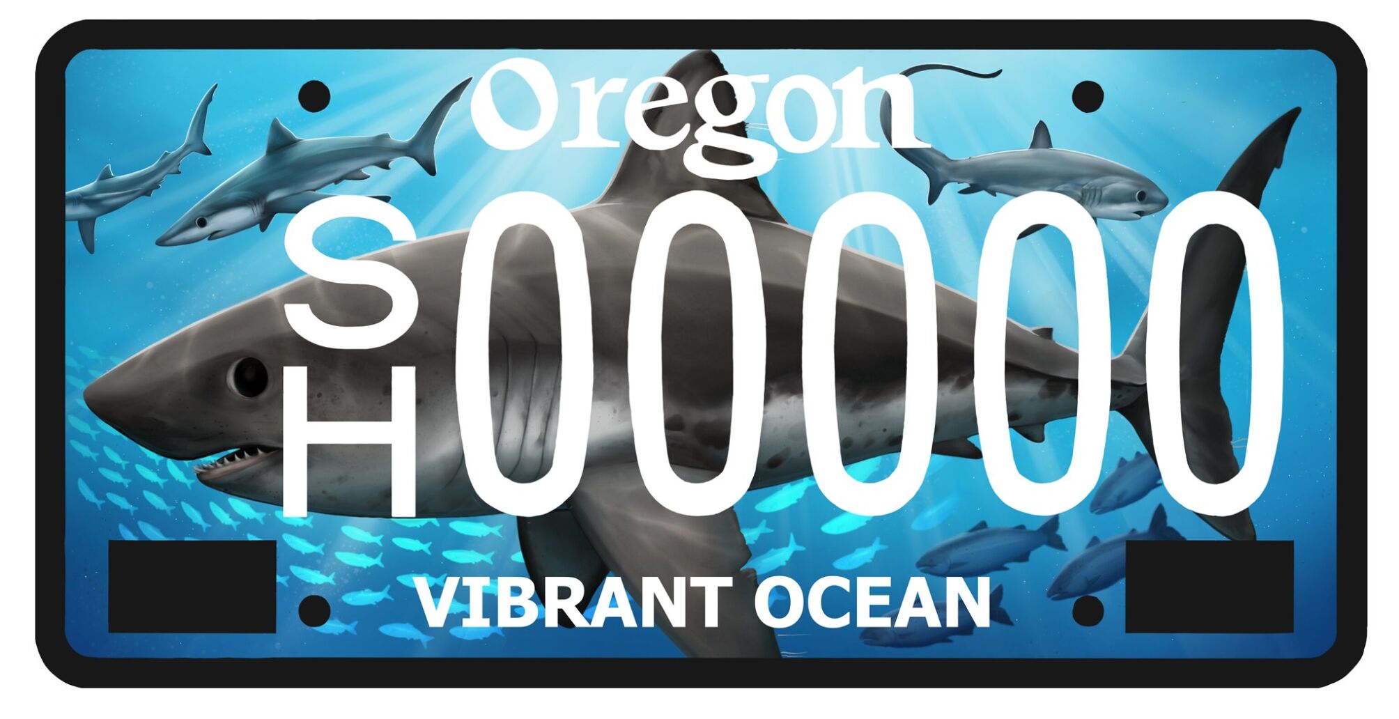 New license plate will support Oregon State University’s shark research ...