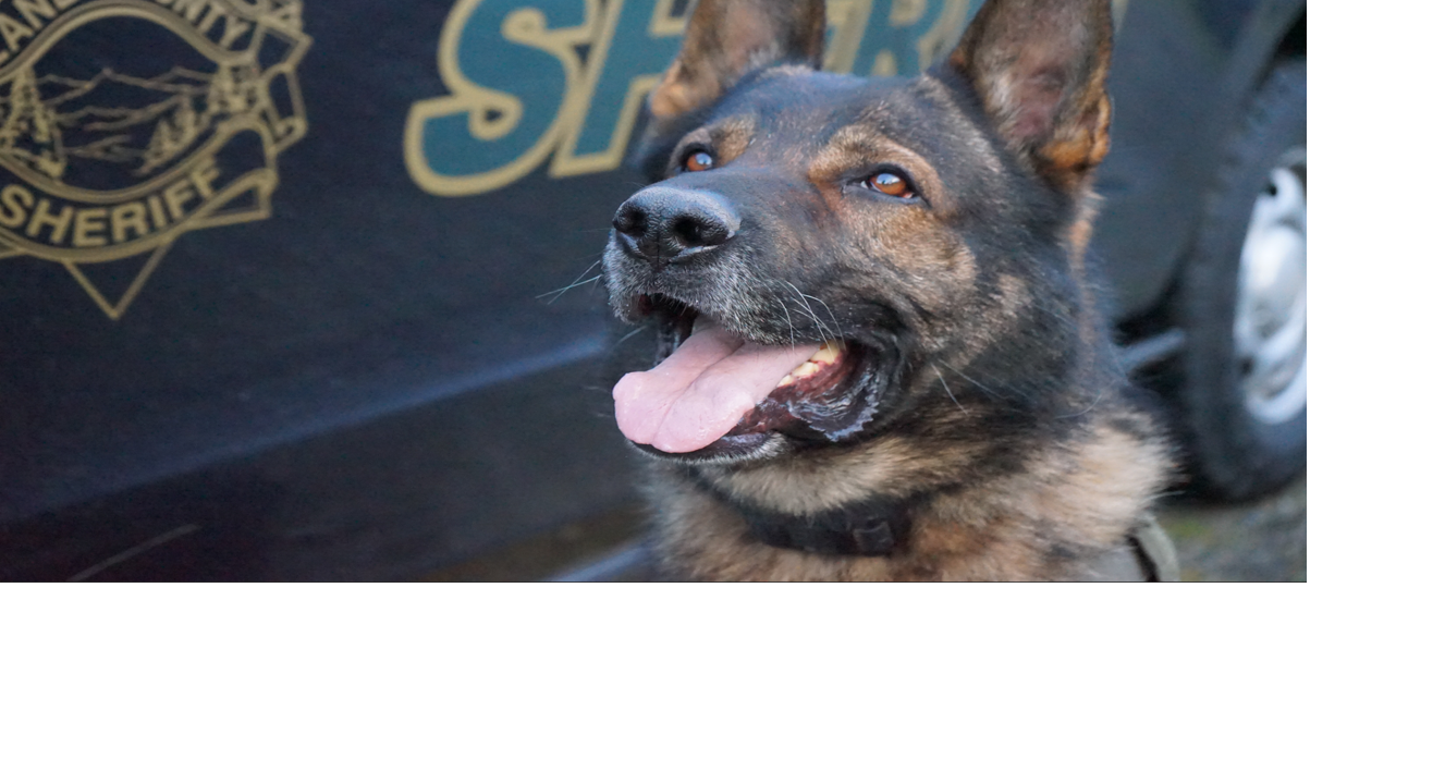 Traffic stops for suspected impaired driving leads to arrests with ...