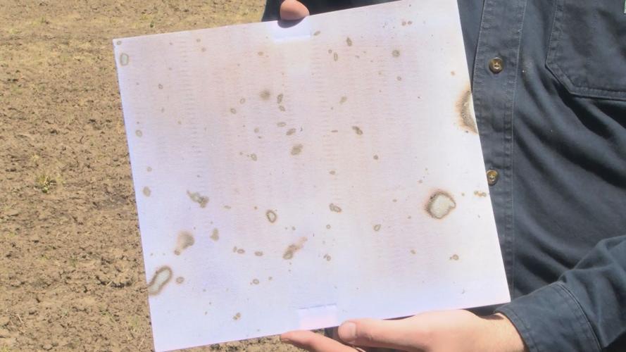 Oregon State researchers “burn to learn” more about fire-spreading ...