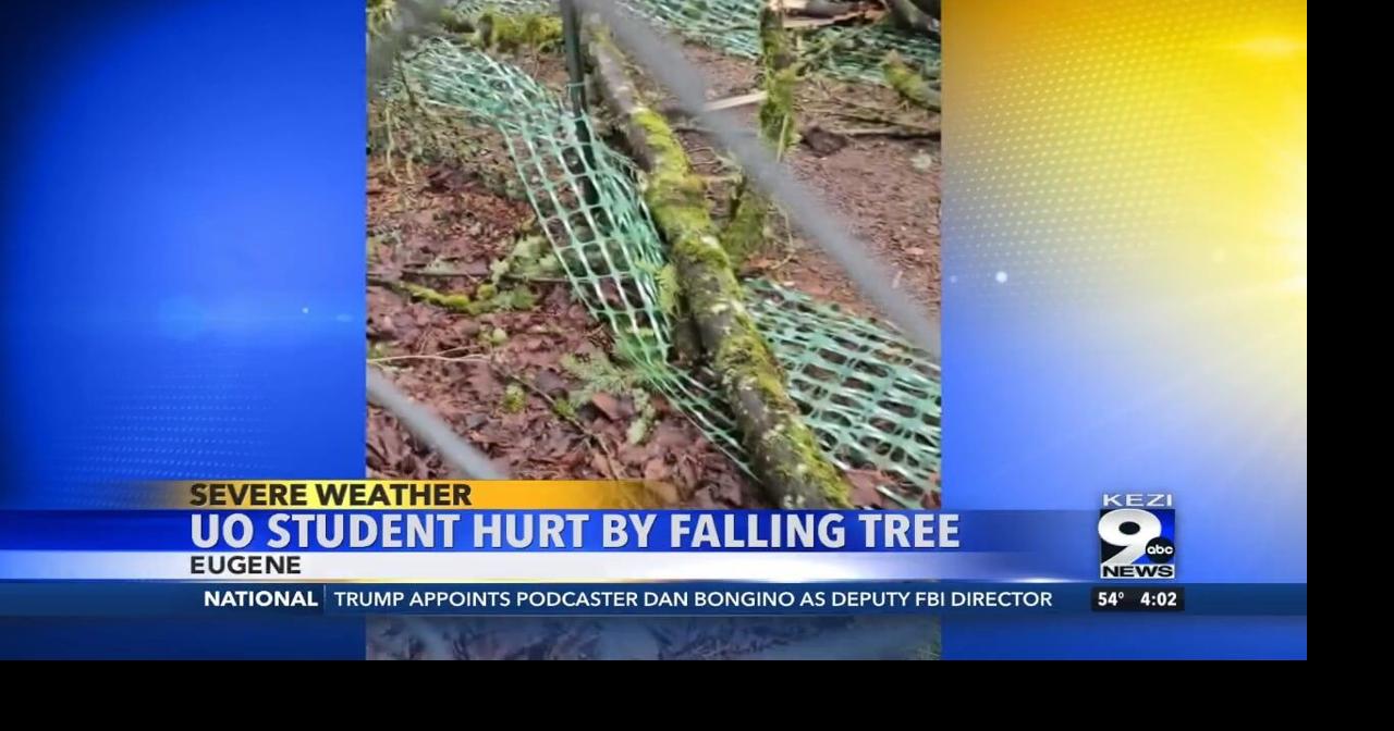 UO student hit by falling tree | Video | kezi.com