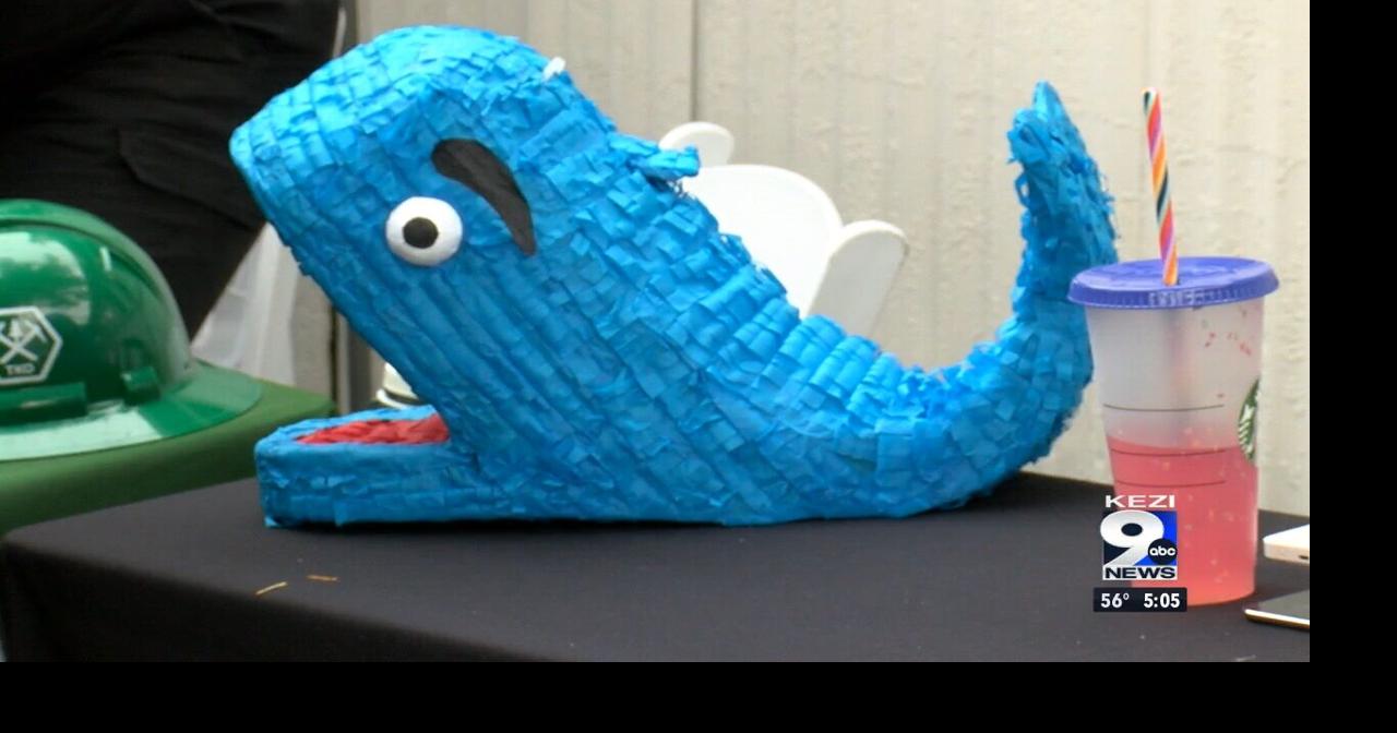 Exploding Whale Day | Video | kezi.com