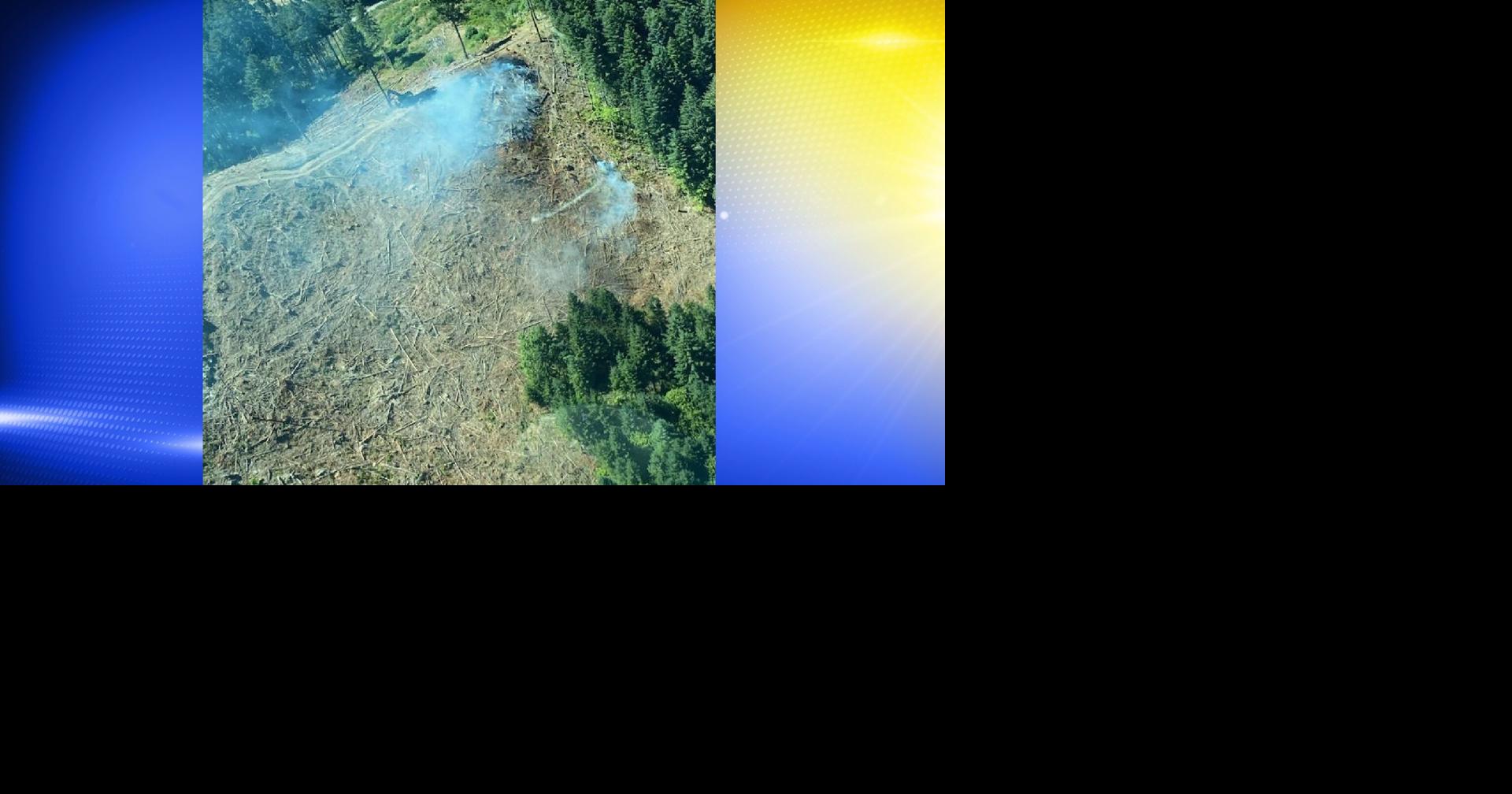 Fire crews control Douglas County logging slash fire | Local | kezi.com