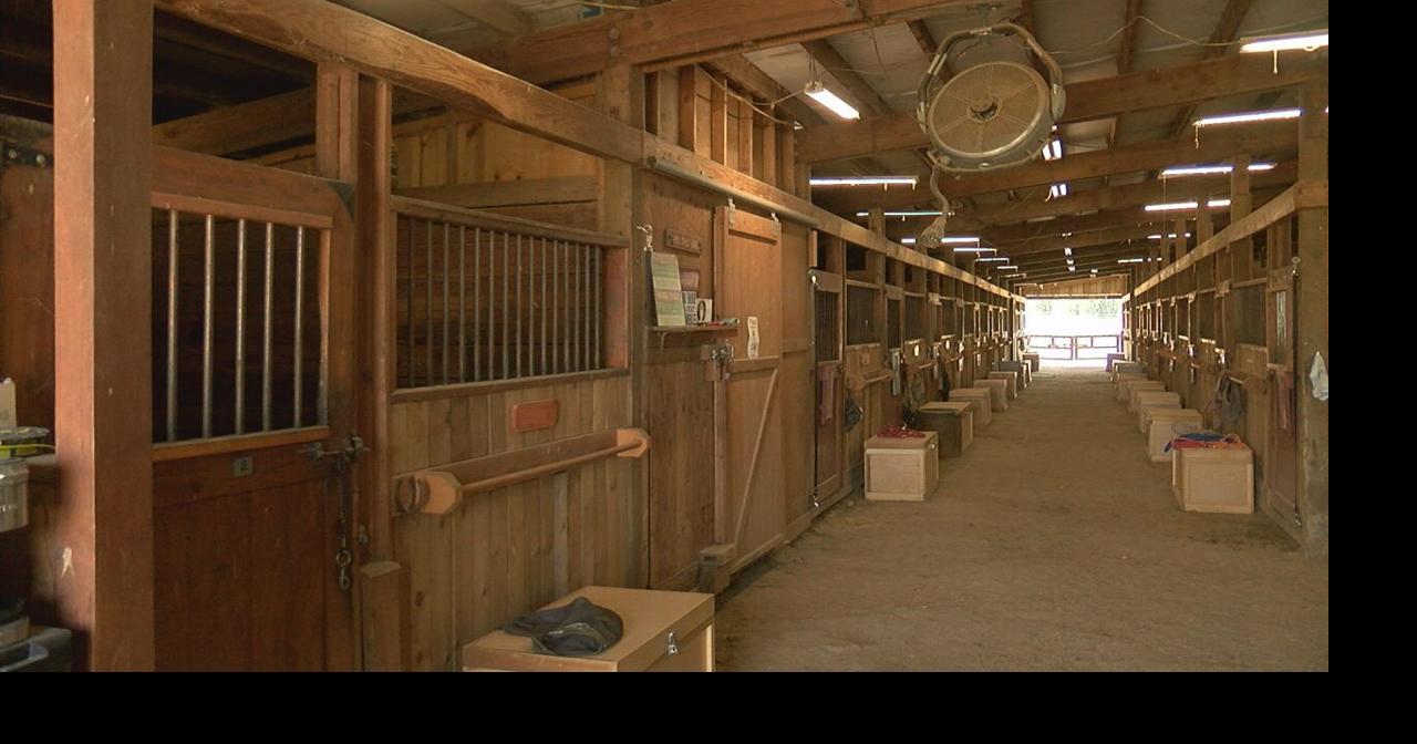 Horse ranch owners detail the effort to evacuate the Priceboro Fire ...