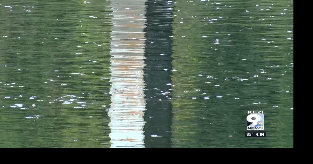 Thousands of fish carcasses floating in Foster Reservoir | Video | kezi.com