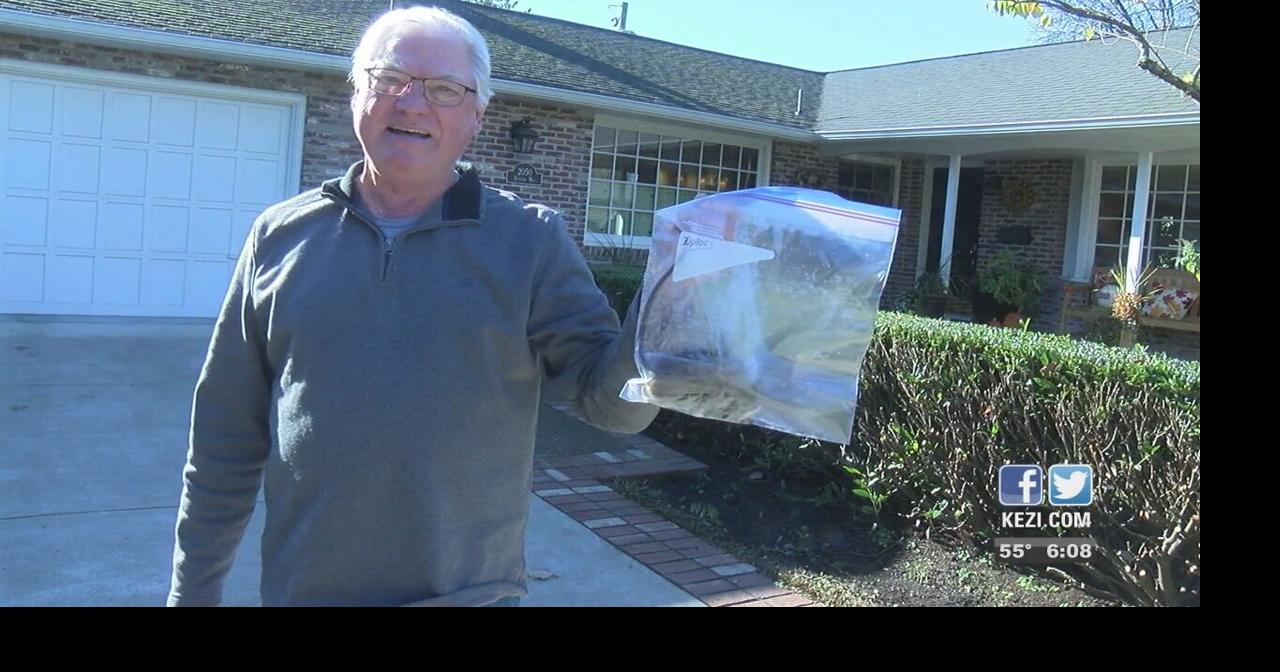 Rat sightings up 40% in Eugene this year, experts say | Local | kezi.com