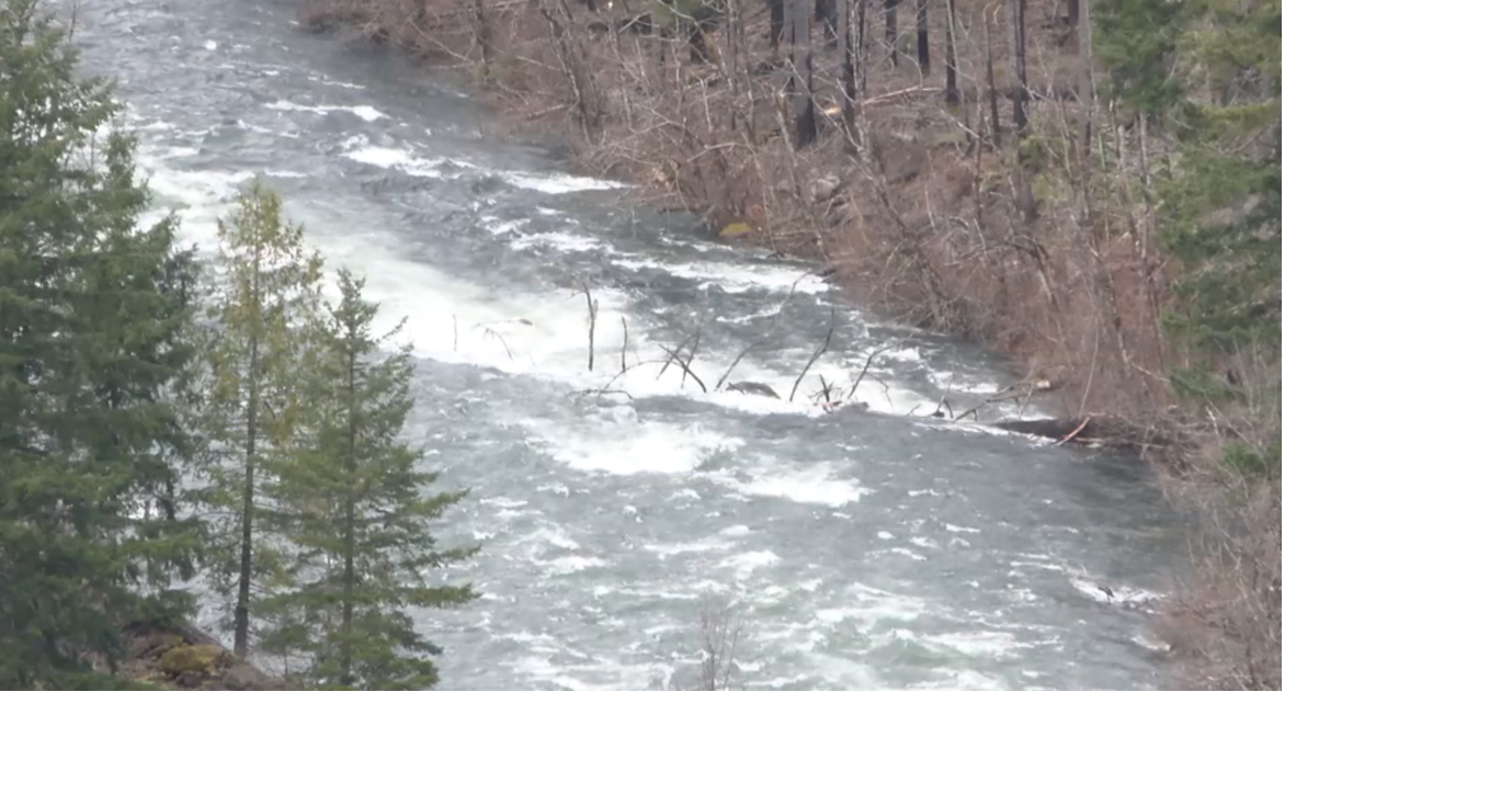 High water alert: Cougar Dam release impacts local river users | Local ...