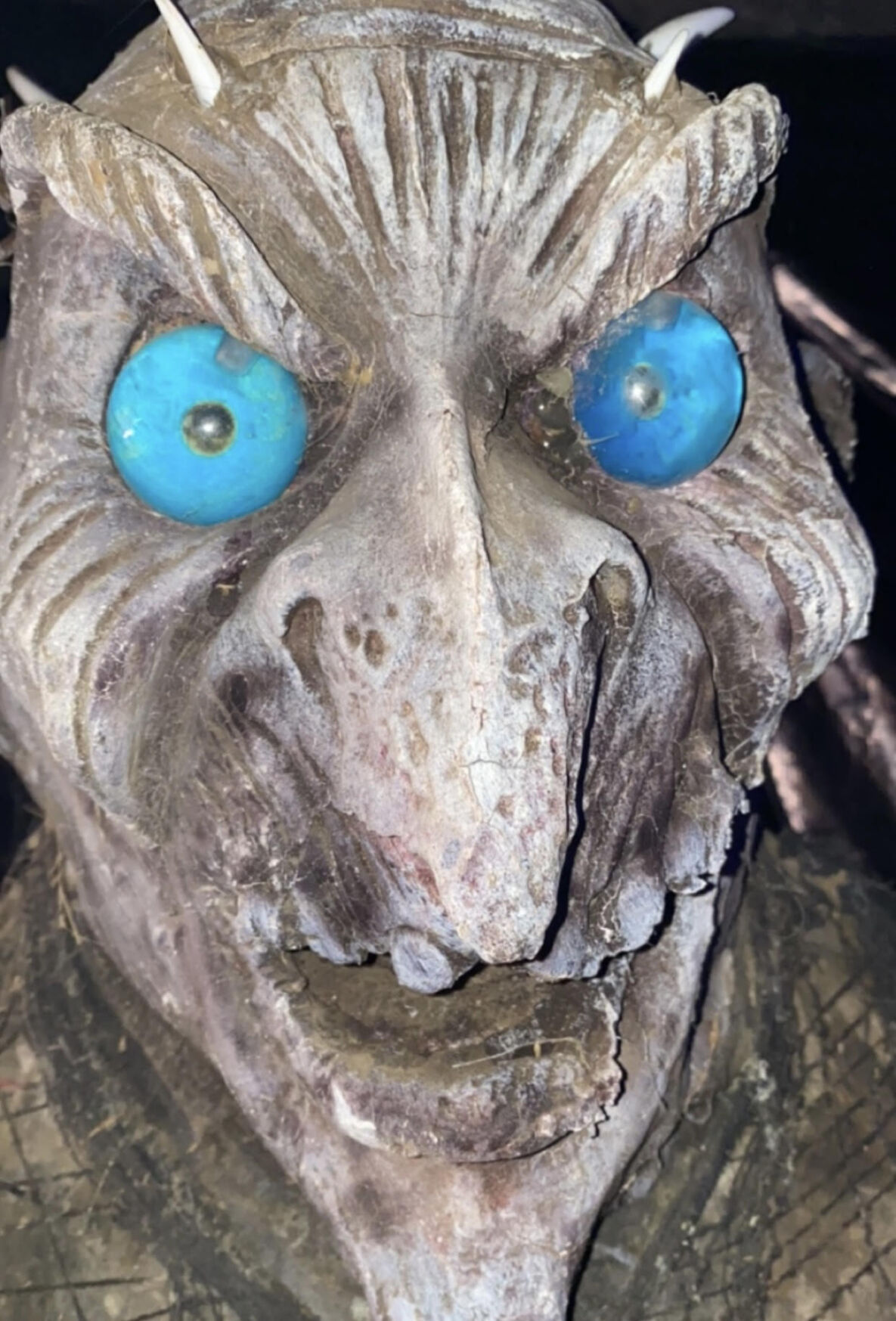 Strangest Things Haunted Farm returns to Eugene with additional spooky ...