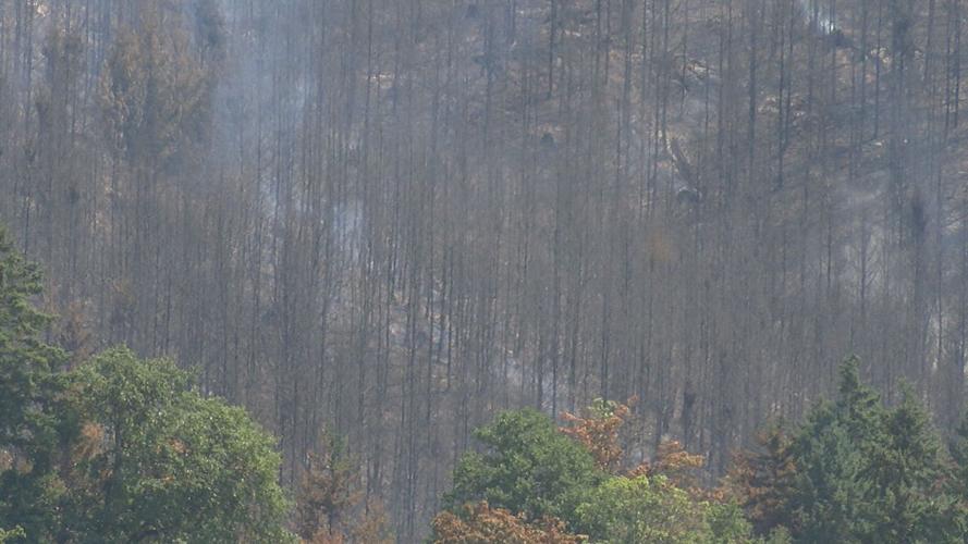 Horse ranch owners detail the effort to evacuate the Priceboro Fire ...