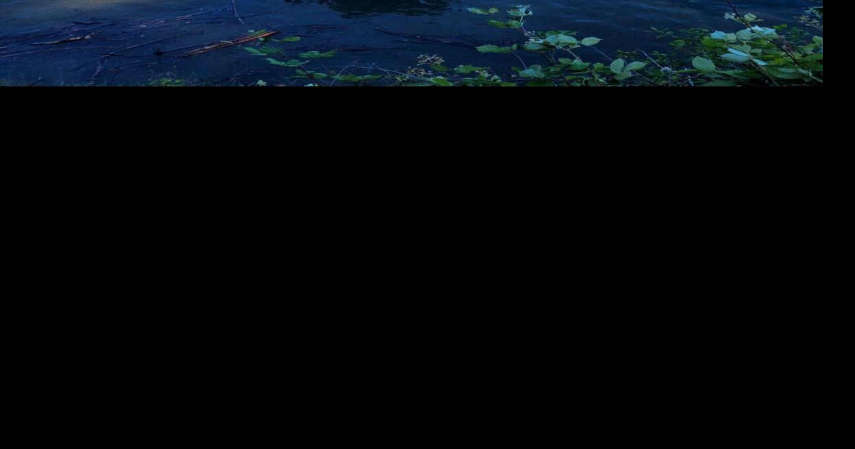 Sweet Home authorities investigate submerged vehicle incident at Foster ...