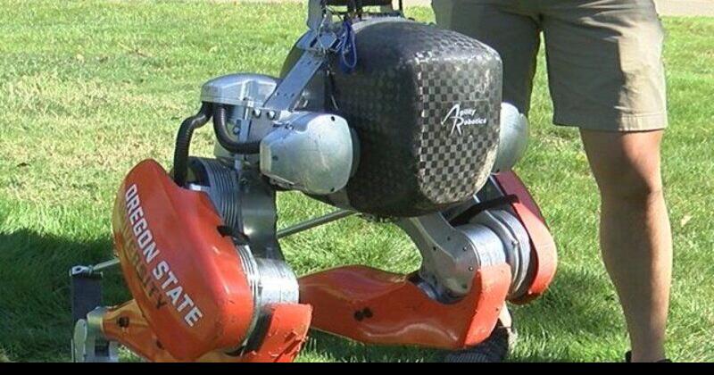 A robot that can run: OSU celebrates historic 5K | Local | kezi.com