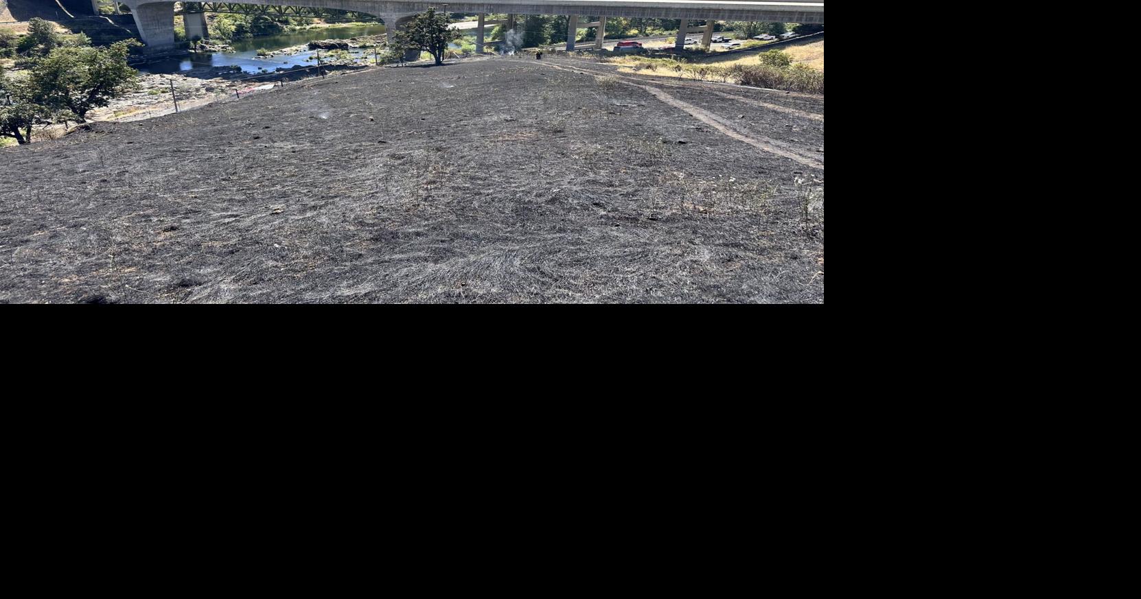 Douglas Forest Protect Association to reduce fire danger level to 'high ...