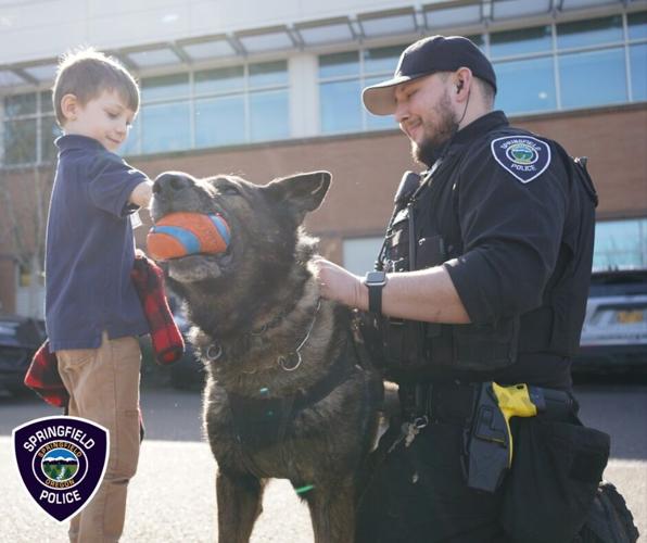 Springfield Police Department mourns loss of decorated and beloved K9 ...