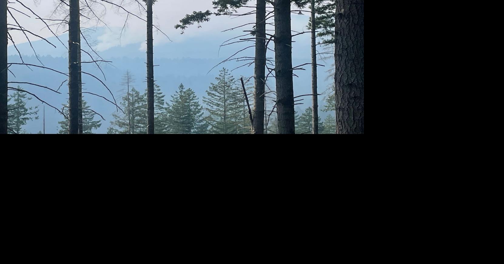 Fire crews implement full suppression strategy on Three Buttes, Rock ...