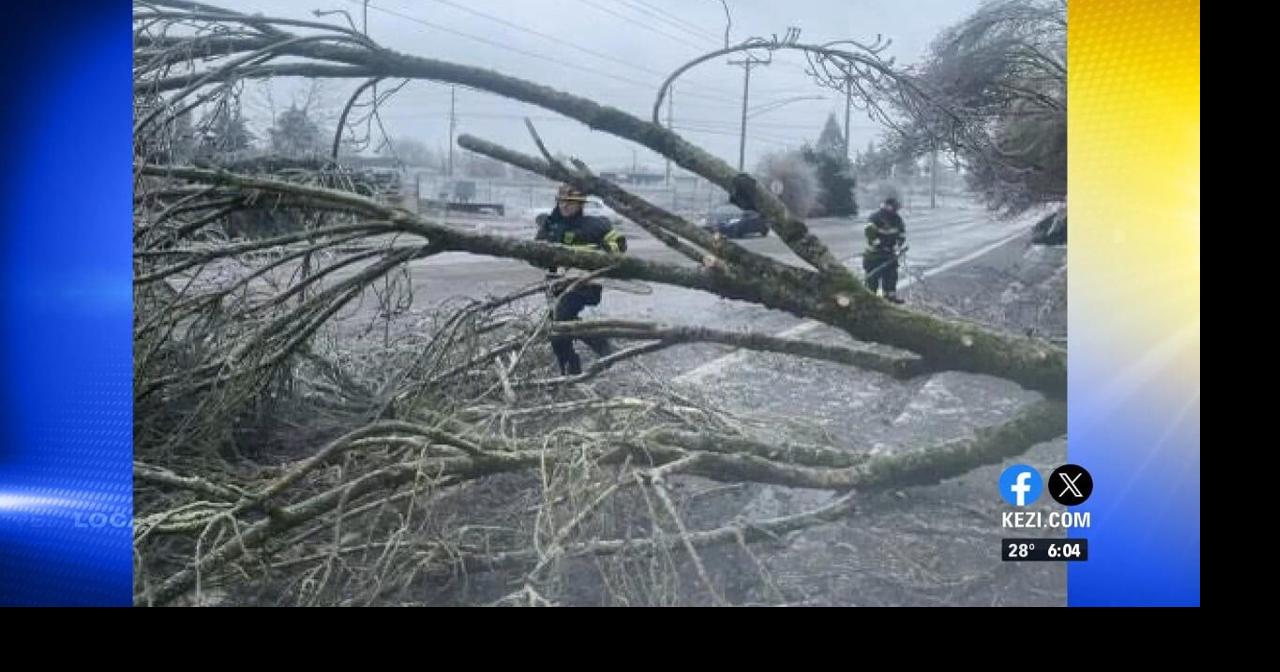 Eugene Springfield Fire gets record number of calls over ice storm ...