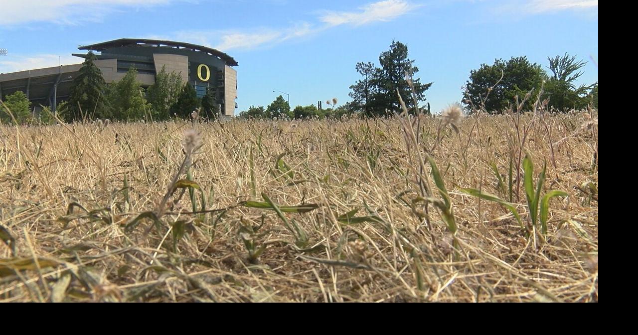 UO moves forward with talks about Autzen Stadium expansion | News ...