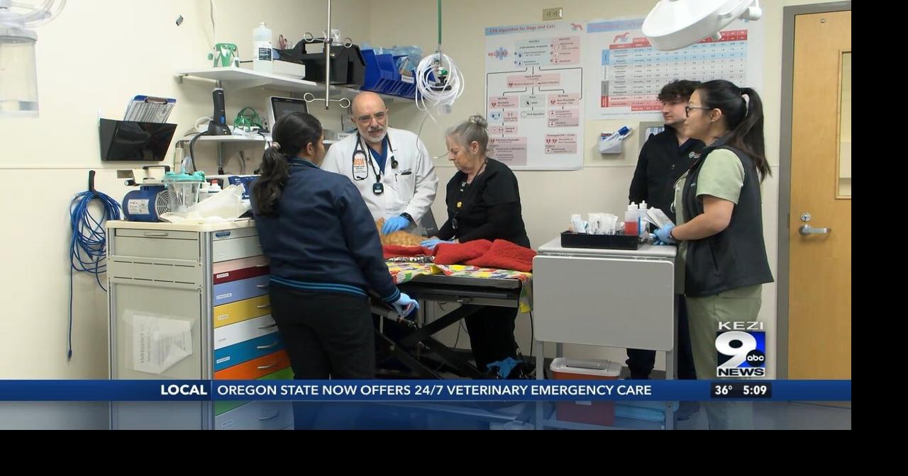 Newest 24/7 veterinary ER for cats and dogs at OSU's small animal ...