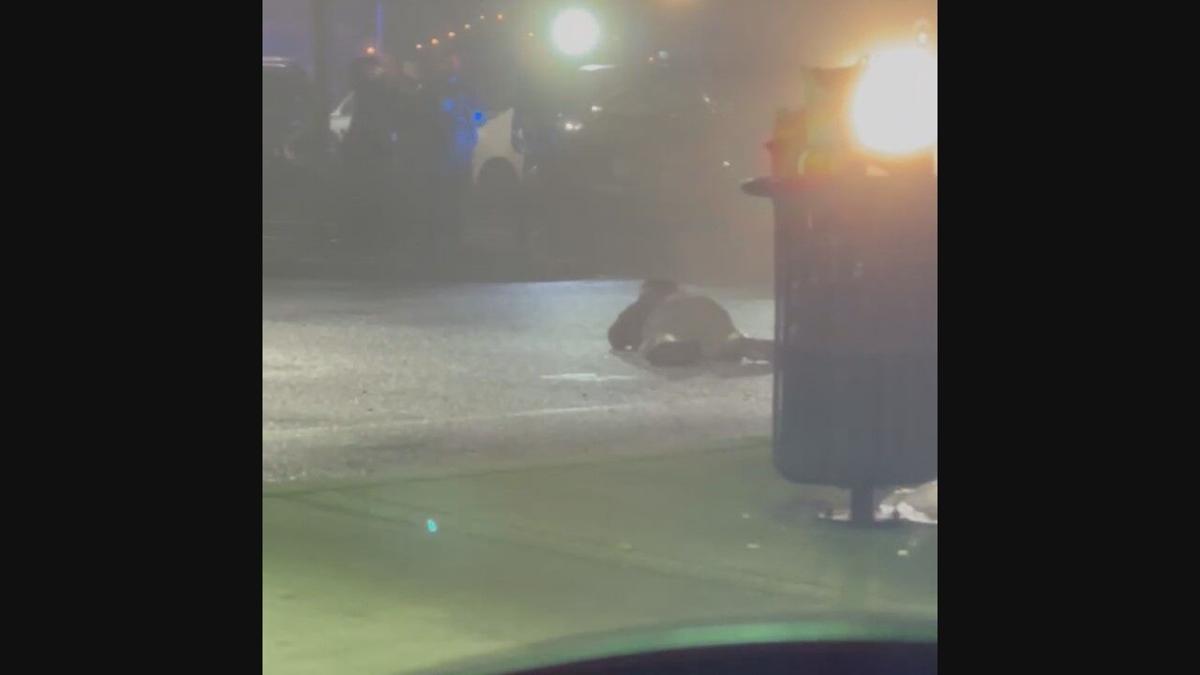 Two suspects arrested following downtown Eugene shooting | Local | kezi.com