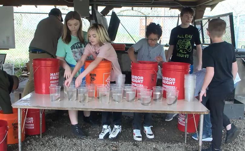 Eastwood Elementary students release hundreds of fish into Deer Creek ...