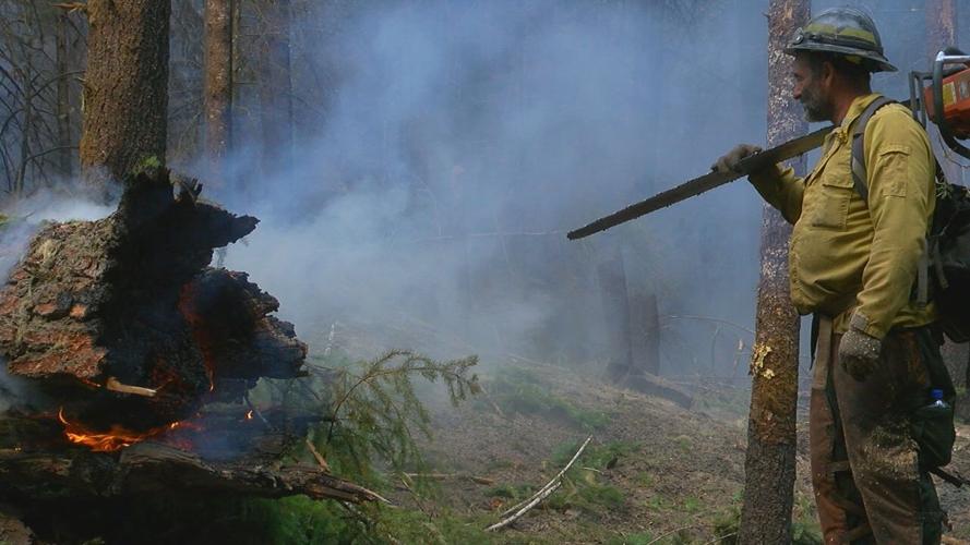 Crews work to find hazard trees as Cedar Creek Fire burns | News | kezi.com