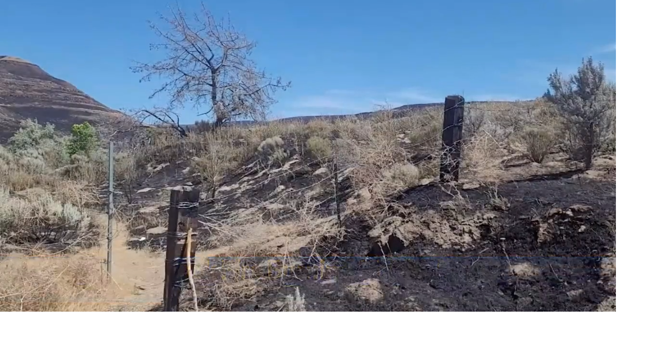 Evacuations lifted for multiple wildfires in Southeast Washington ...