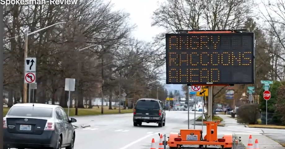 Spokane traffic sign hacked warning drivers of "angry raccoons ahead ...