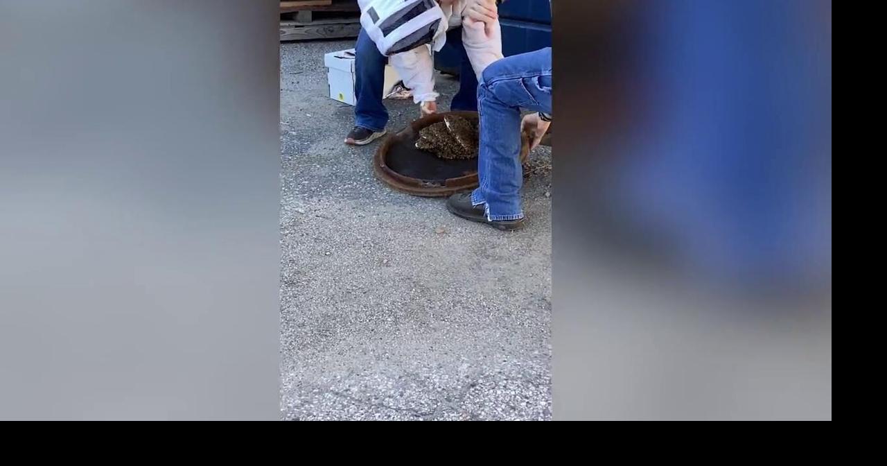 WSDOT crews discover thousands of bees under manhole cover | | khq.com
