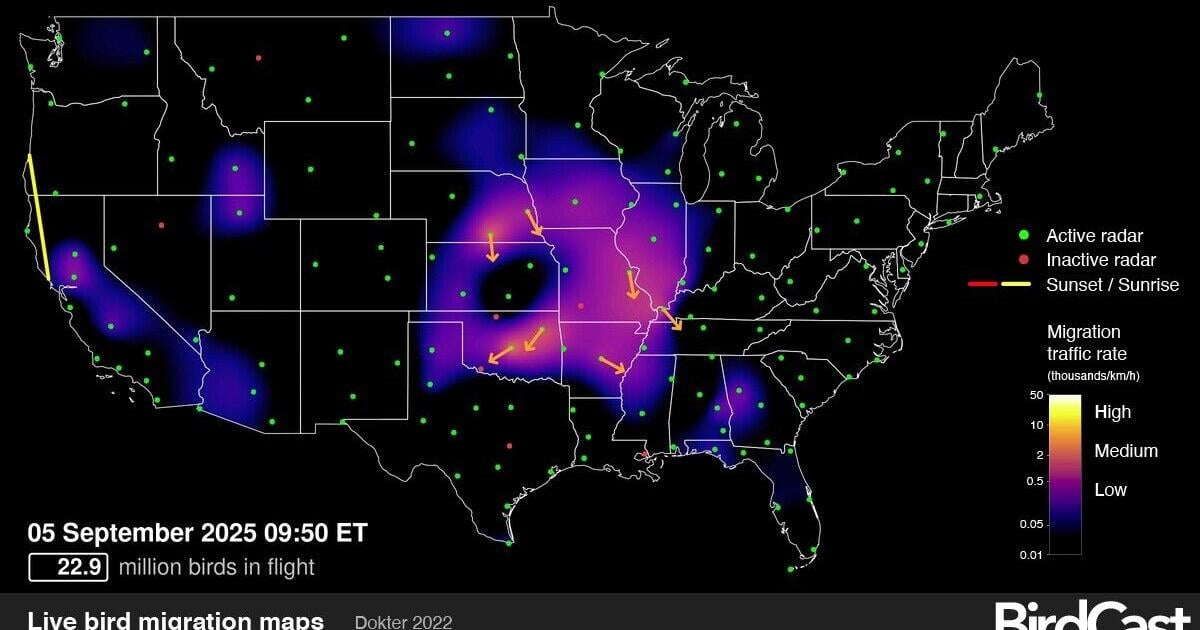 Radar maps track real-time bird migration at night | National | khq.com