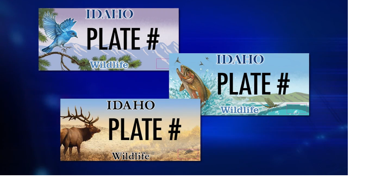 Idaho Fish and Wildlife introduce new license plates featuring elk ...
